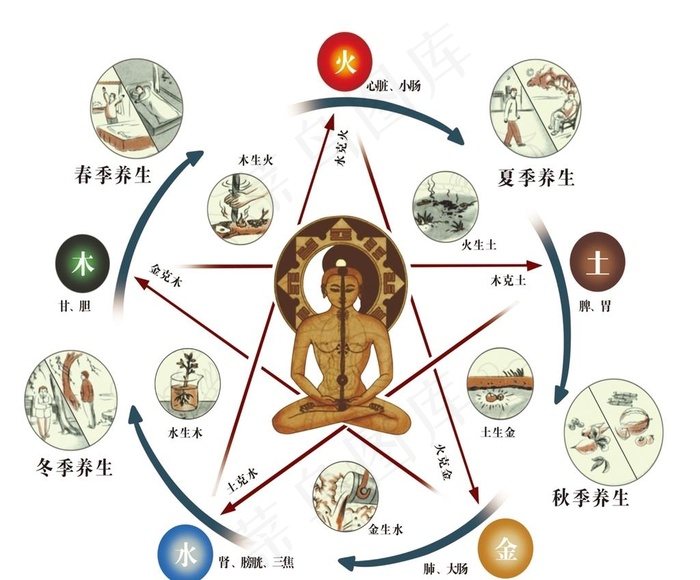 中医养生图片 菜鸟图库